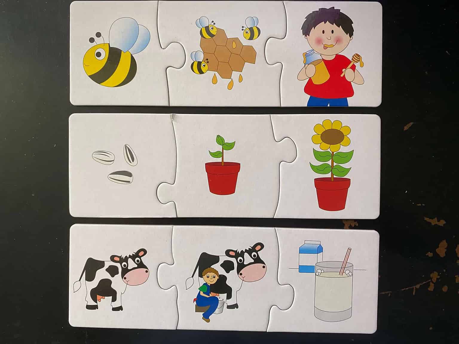 Match It! Sequencing | TherapyGameXchange