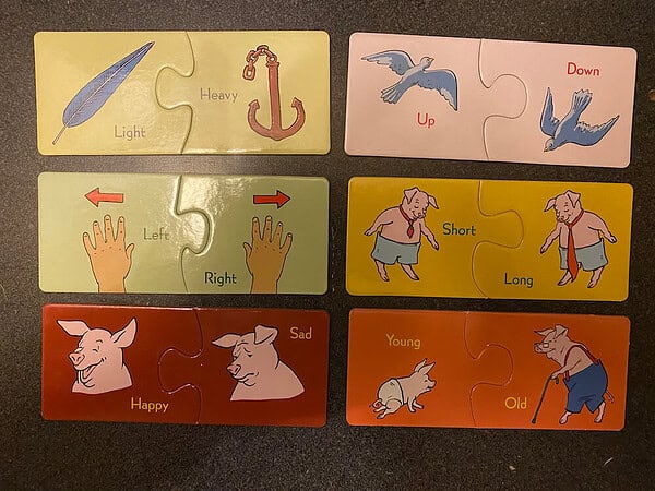Opposites Puzzle Pairs | TherapyGameXchange