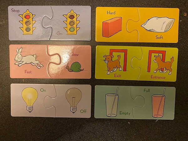 Opposites Puzzle Pairs | TherapyGameXchange
